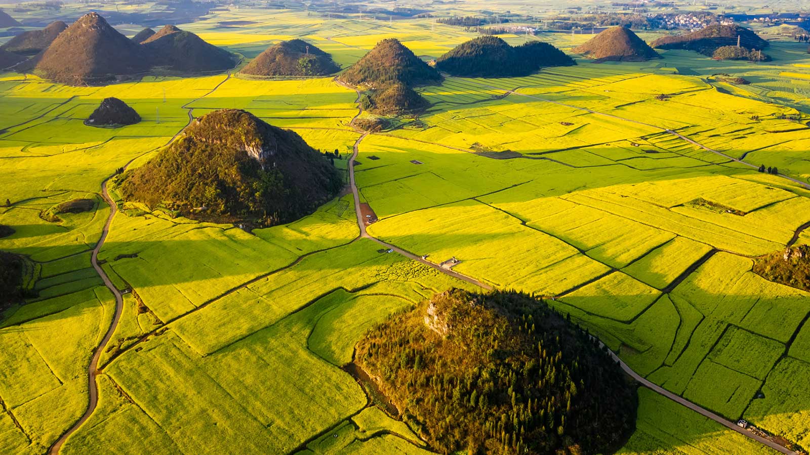 2 Days Spring Tour in Luoping - Ancient Yunnan Travel