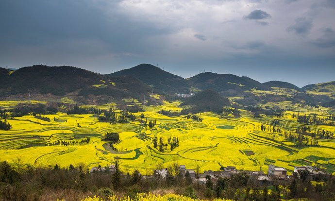 Spring Trip at the Beautiful Luoping - Travel in Yunnan with Ancient Yunnan
